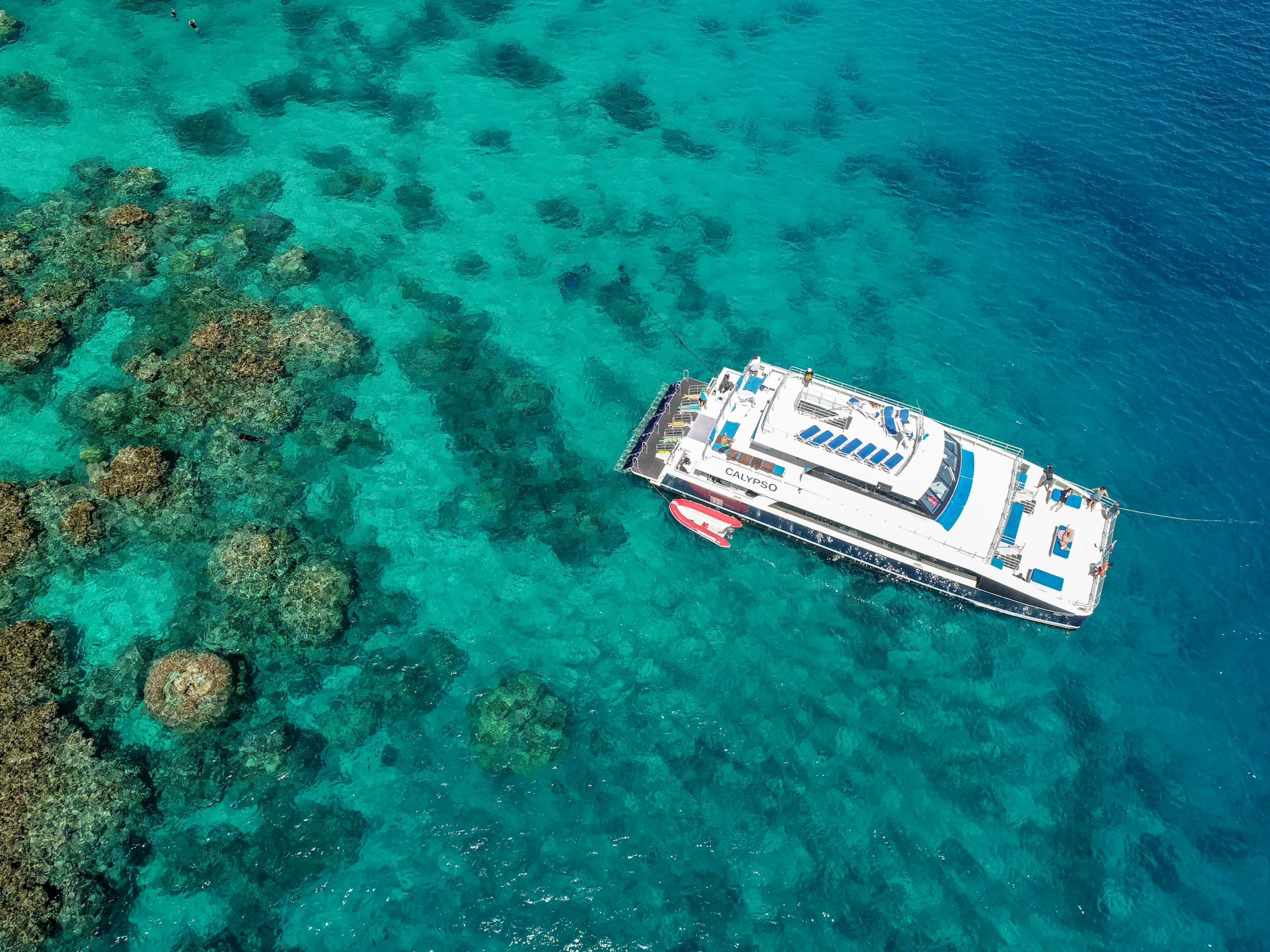 Calypso Reef Cruises | Reef Snorkel & Dive Tour | Port Douglas