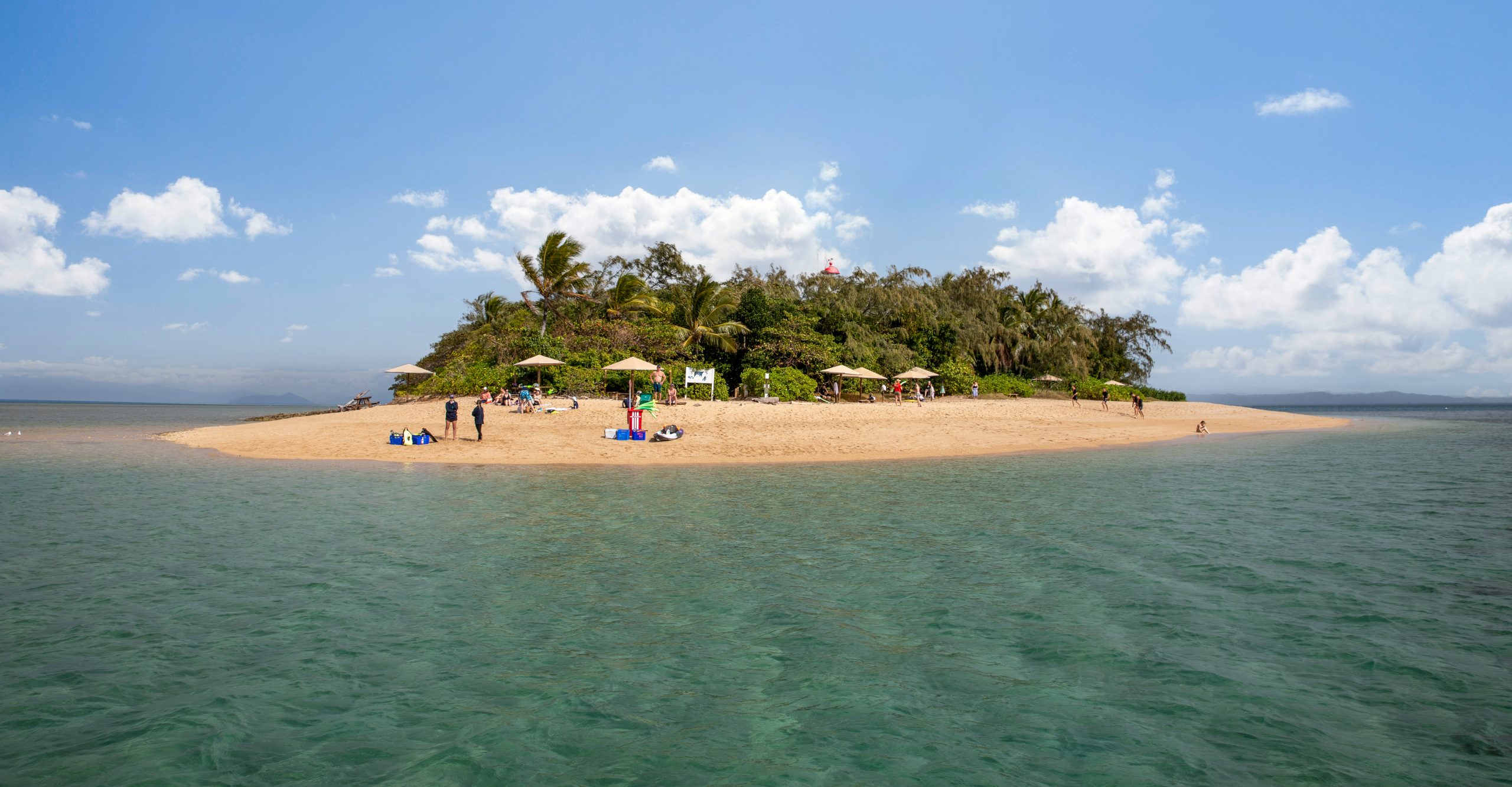 Low Isles Tour | Port Douglas | Calypso| Reef Unlimited