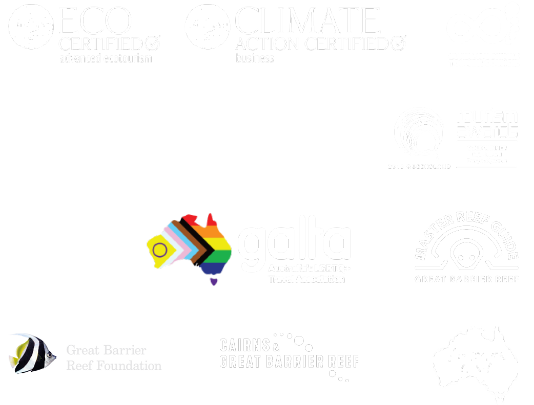 Great Barrier Reef Tour | Reef Magic | Cairns Newest Pontoon